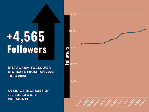Hayden-Instagram-Chart - Embark Marketing